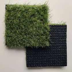 Touch Grass Store